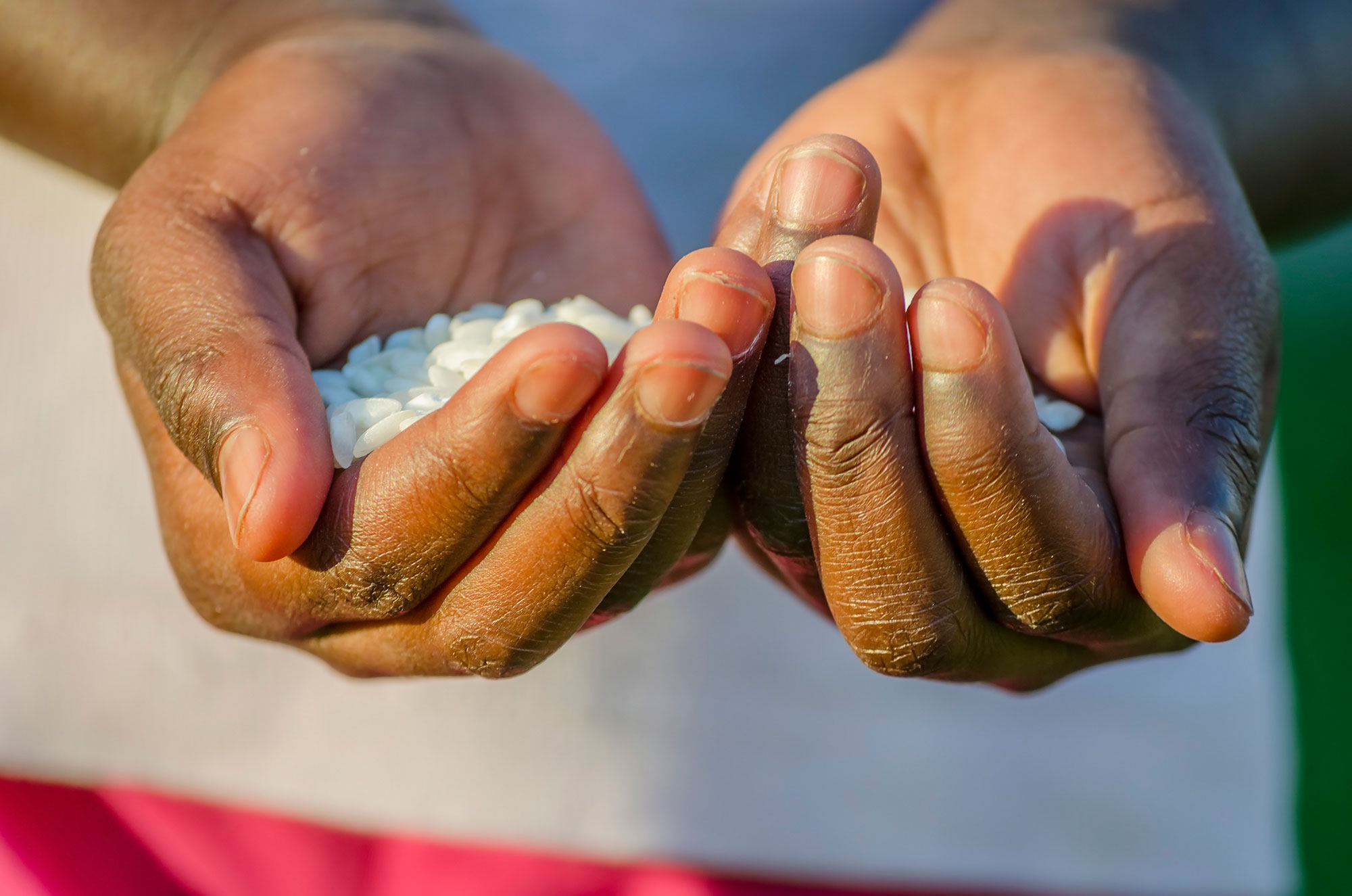 Victus Global | A global food technology programme | Victus Global l ...